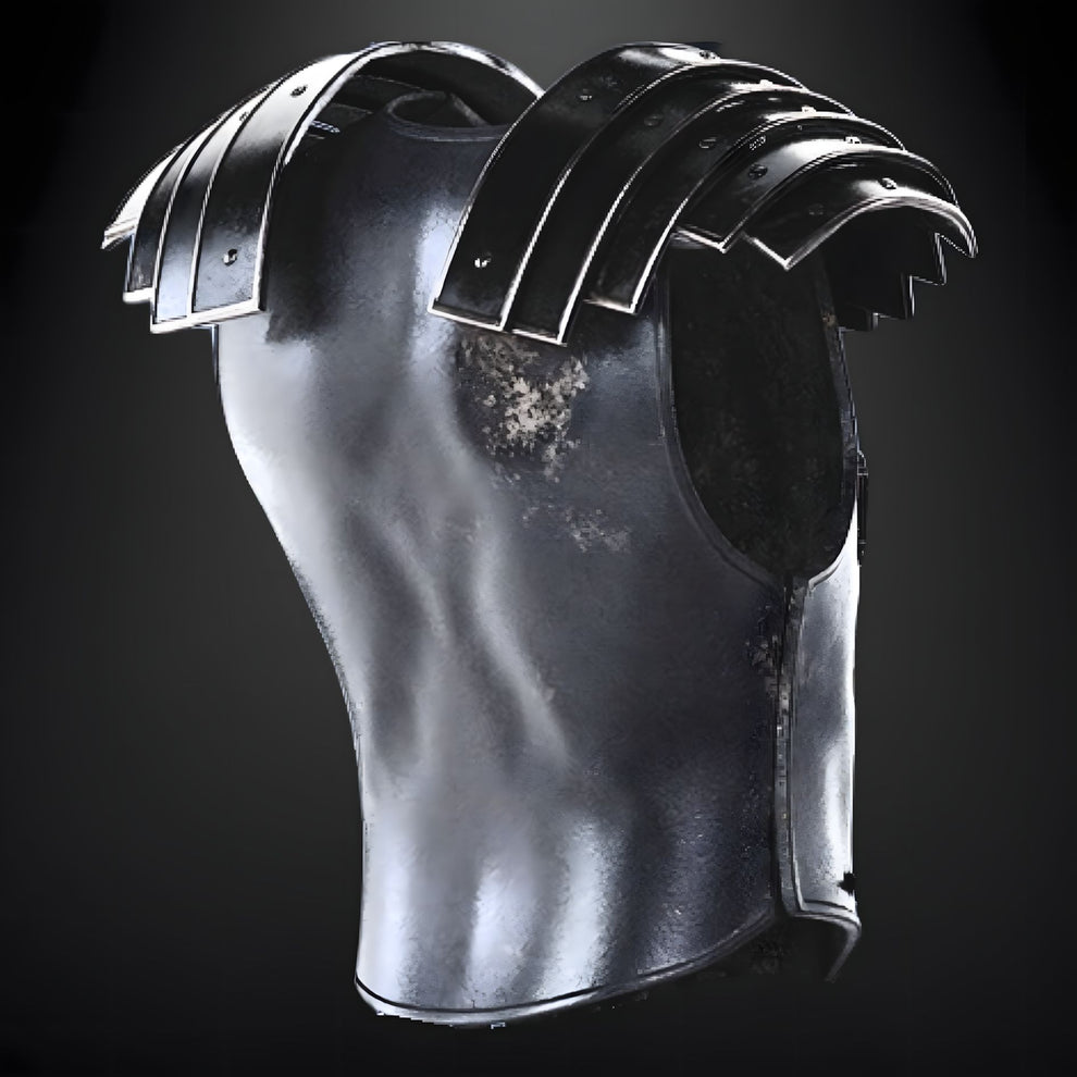 Gladiator: Maximus Decimus Meridius Body Armour - Prop or Replica ...