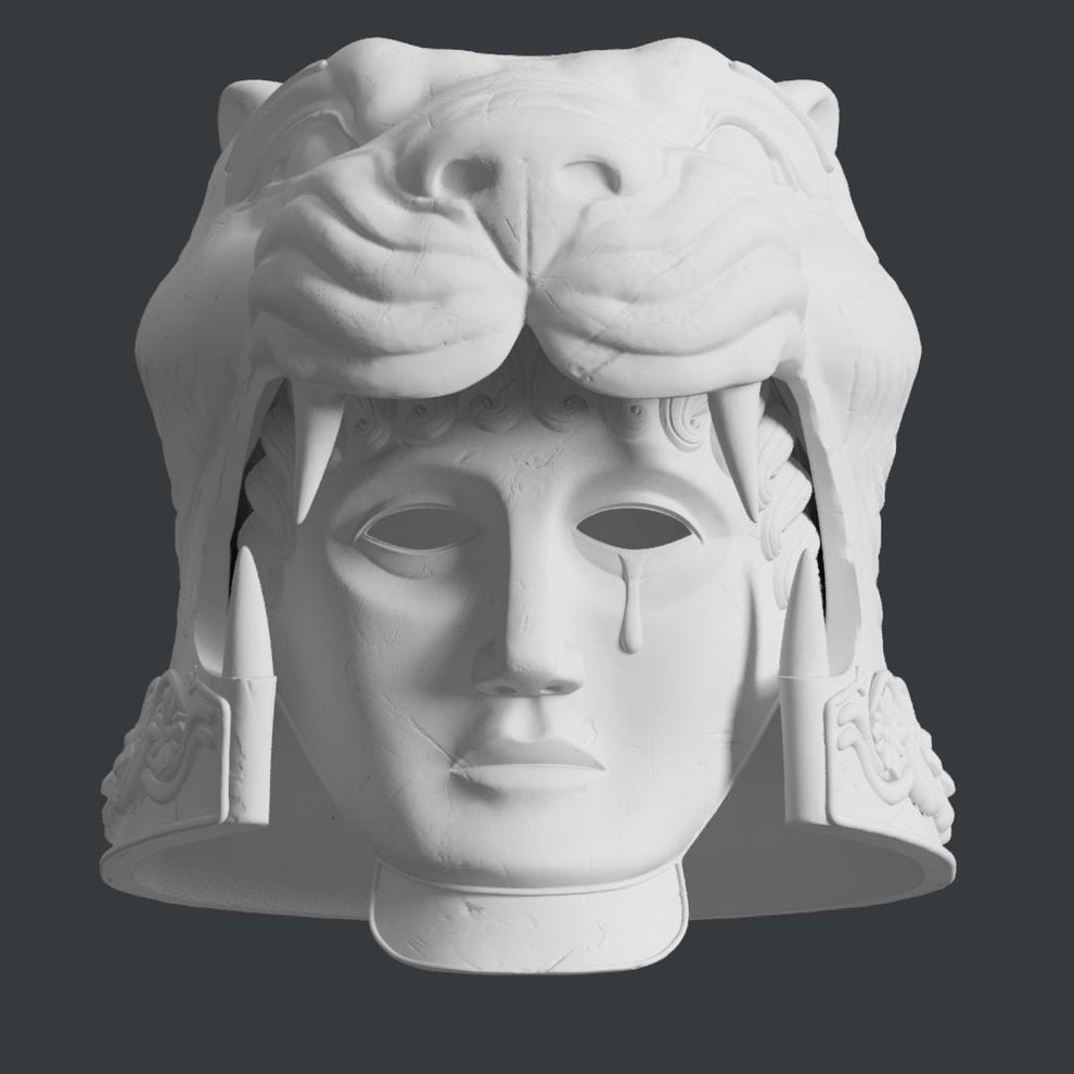 Gladiator: Tigris of Gaul Helmet - Prop or Replica (DIY Kit) – Props ...